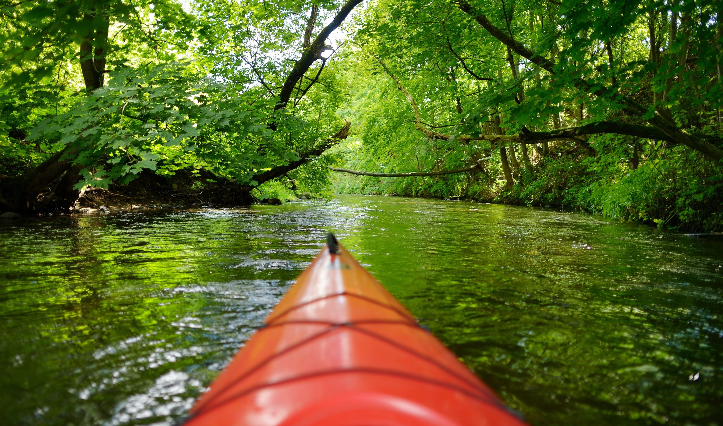Russian River Self Guided Trip | River's Edge Kayak & Canoe
