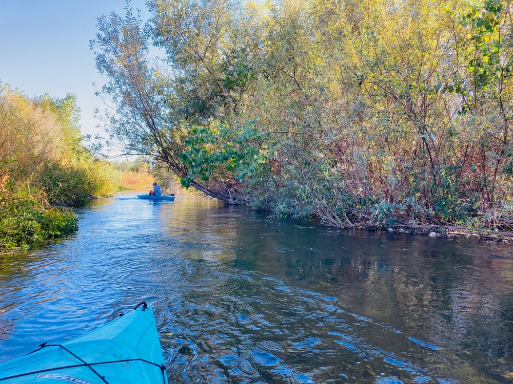 Class 2 Kayaking Adventure on the Upper Russian River